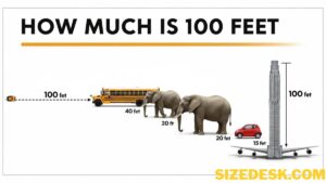 How Much Is 100 Feet? Understanding This Measurement in Real Life