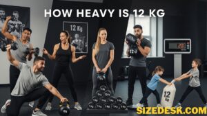 How Heavy is 12 Kg? 14 Common Things That Weigh 12 Kilograms